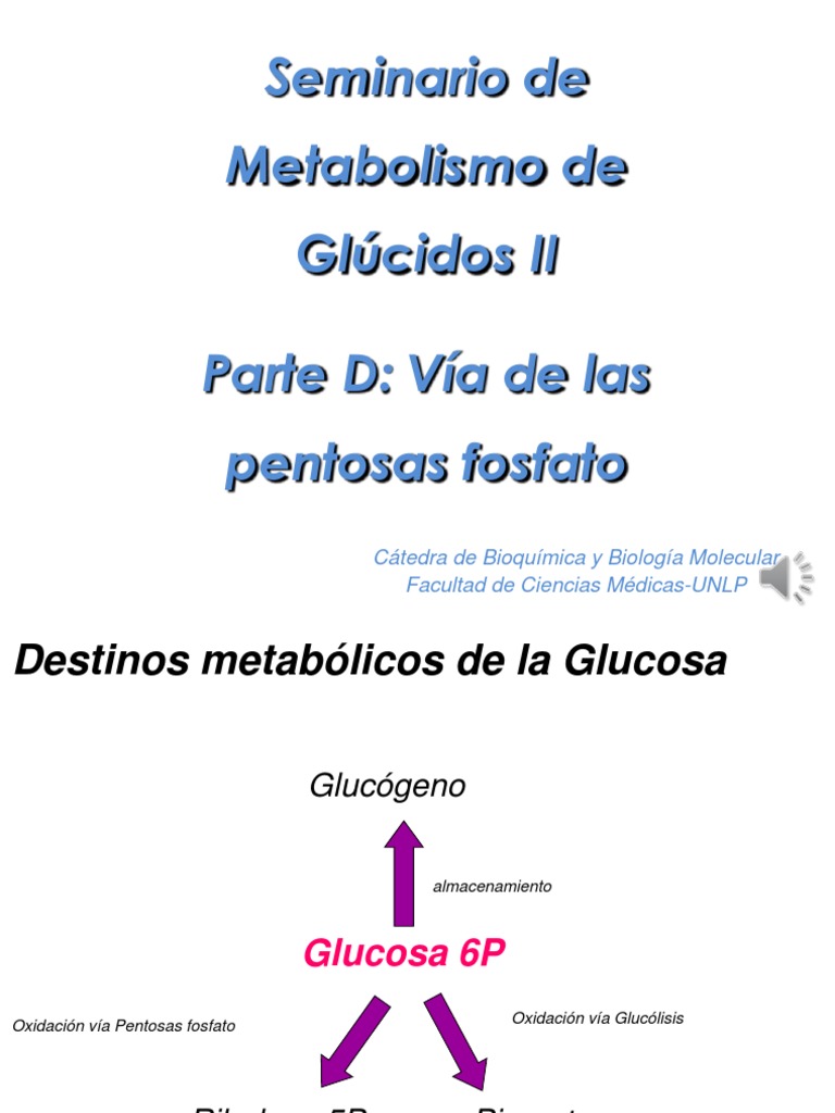 Seminario de Glucidos Parte 4-Via de Las Pentosas Fosfato Audio 2021 | PDF | Nicotinamida ...