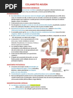 FRUTENZIMA: Usos y Beneficios Clínicos | PDF | Páncreas | Órgano (anatomía)