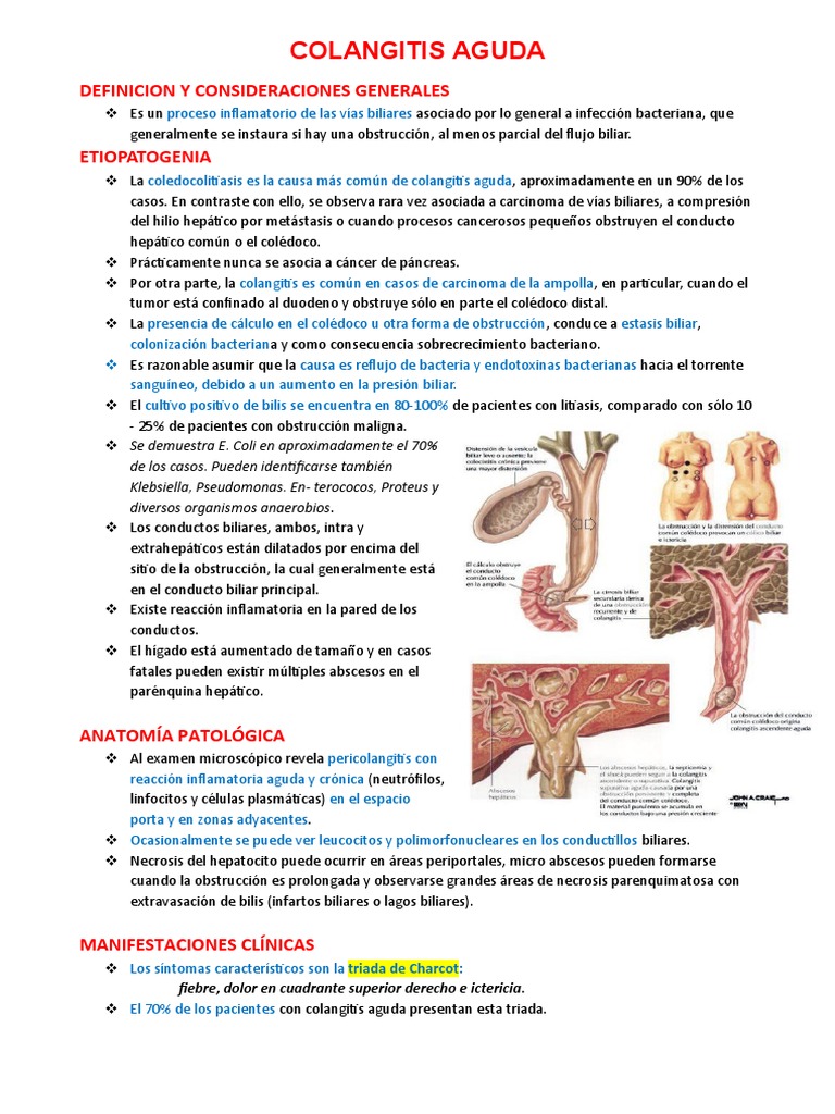Colangitis Aguda | PDF | Abdomen | Sistema exocrino