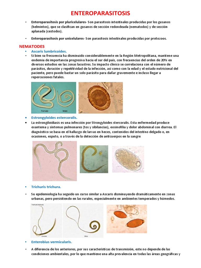 Enteroparasitosis | PDF | Diarrea | Especialidades Medicas