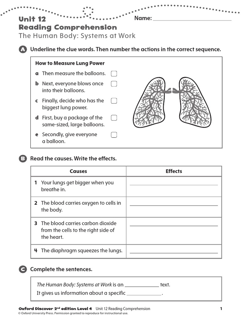 OD2e L4 Reading Comprehension WS Unit 12 | PDF | Blood | Respiratory System