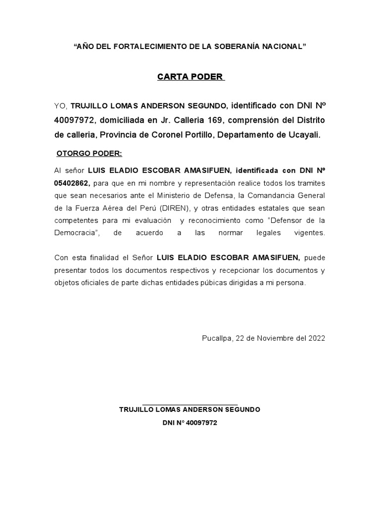 Carta Poder 2019 | PDF