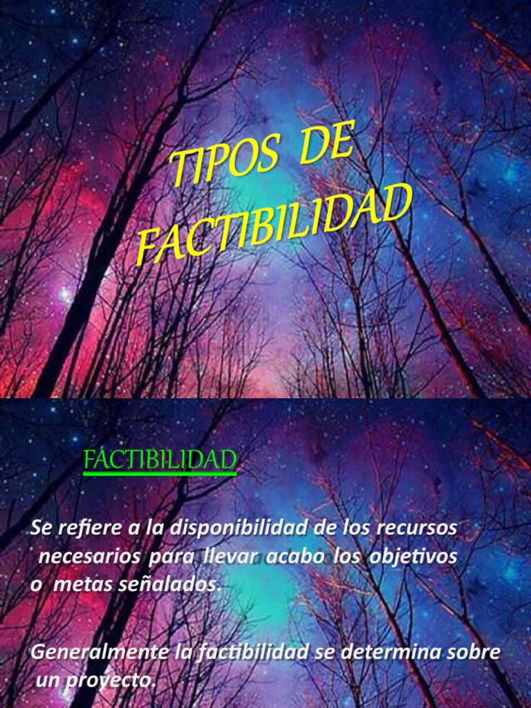 Tipos de factibilidad | PDF
