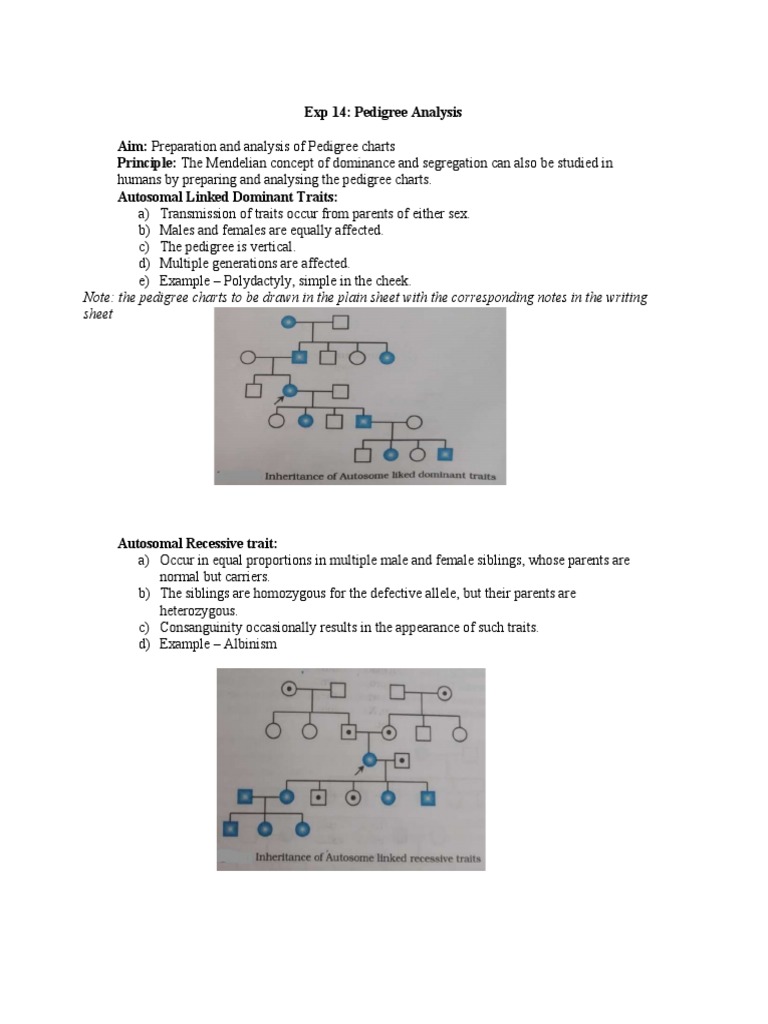 Bio Demo Experiments | Download Free PDF | Zygosity | Dominance (Genetics)