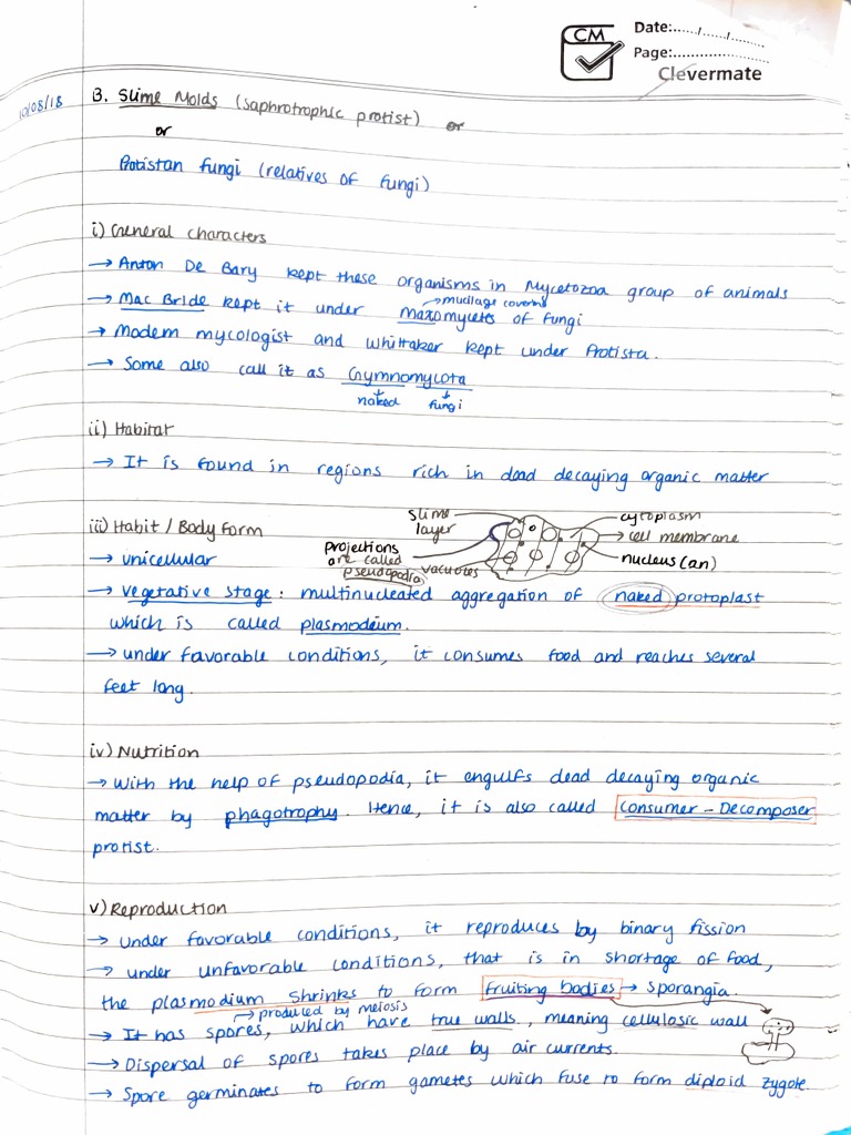 Slime Molds and Protozoans | Download Free PDF | Organisms | Eukaryotes