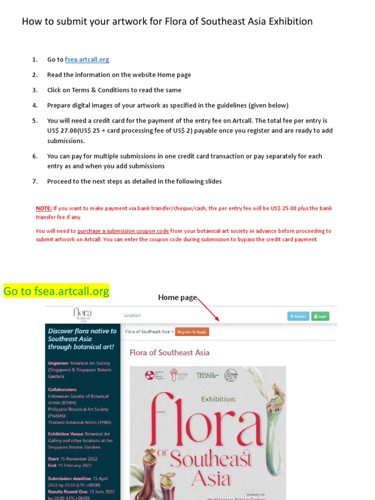 FSEA ArtCall Submission Guide For Regions | PDF | Camera | Credit Card