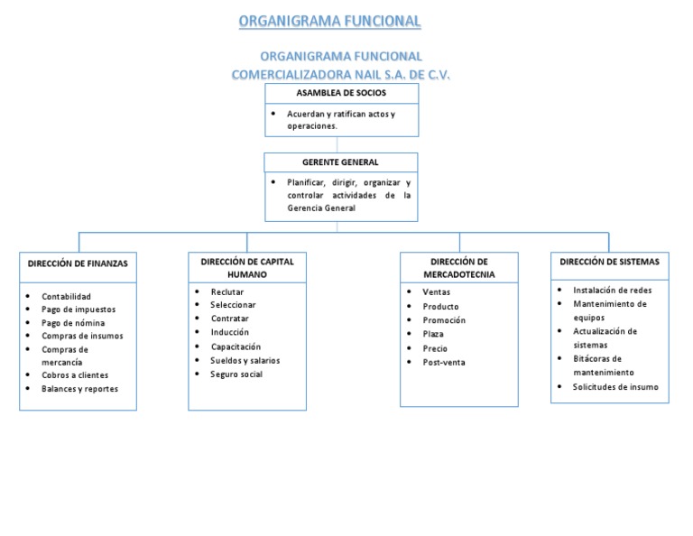Organigrama Funcional | PDF