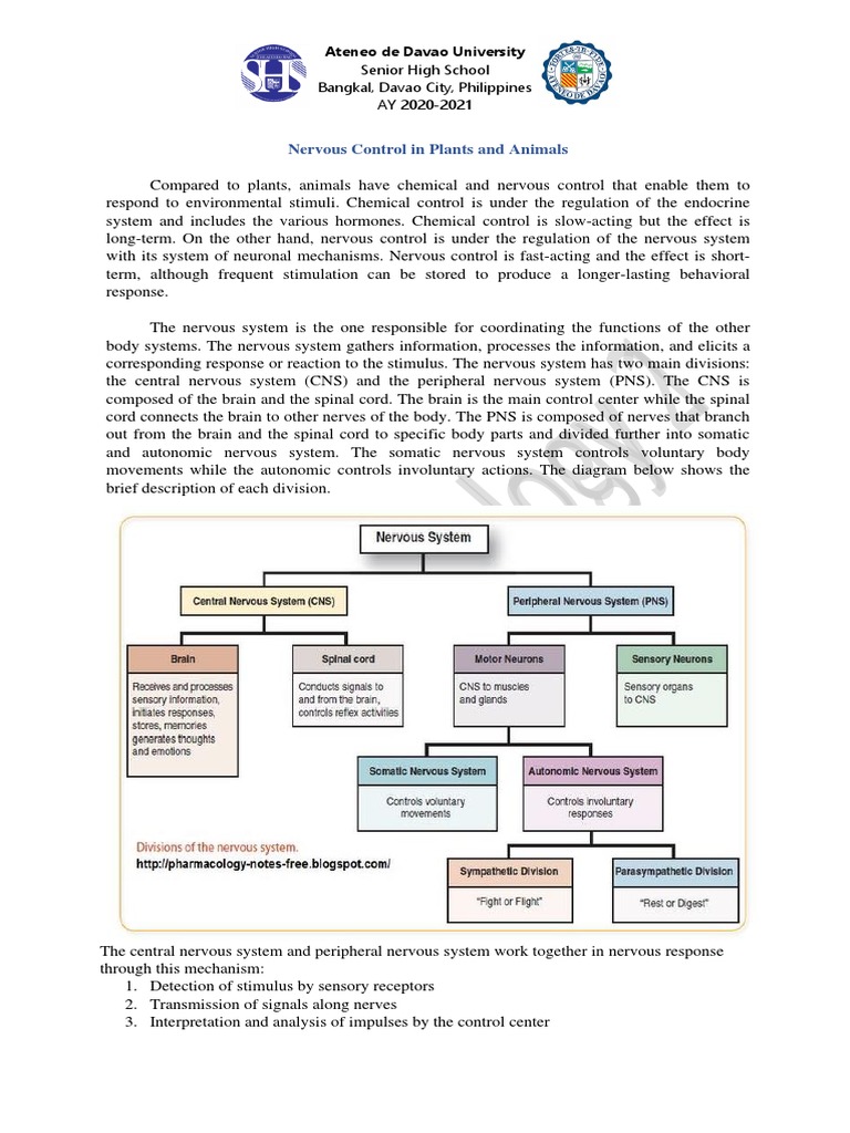 Nervous Control in Plants and Animals | PDF | Neuron | Axon
