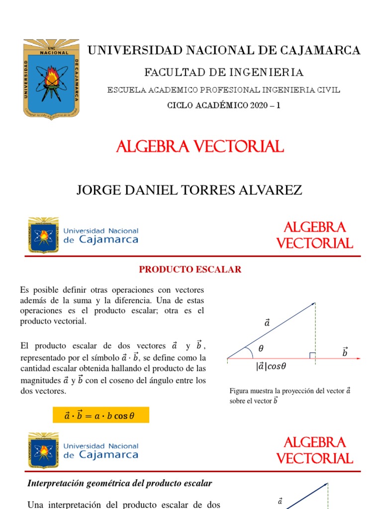 Producto Escalar | PDF | Vector Euclidiano | Escalar (Matemáticas)