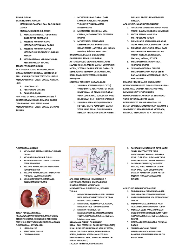 Fungsi dan Terapi Hemodialisis Ginjal | PDF