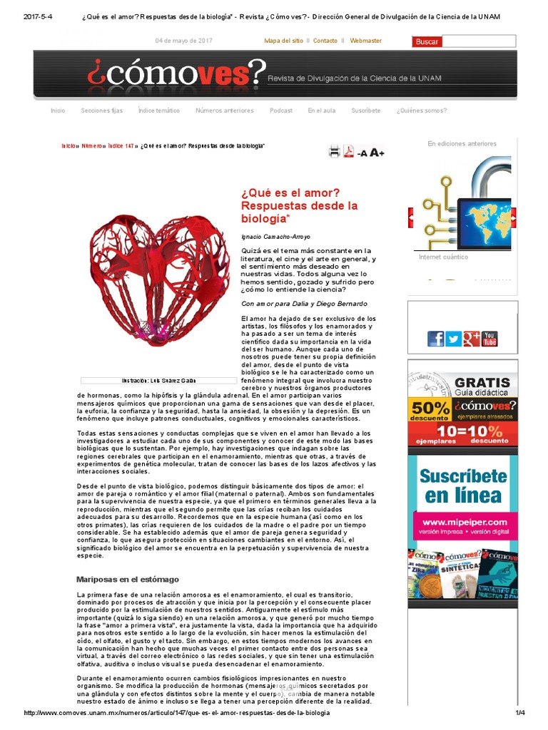 ¿Qué Es El Amor - Respuestas Desde La Biología - Revista ¿Cómo Ves - Dirección General de ...