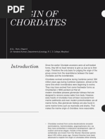 Fish Nares: Smell Mechanism Explained | PDF | Olfaction | Fish