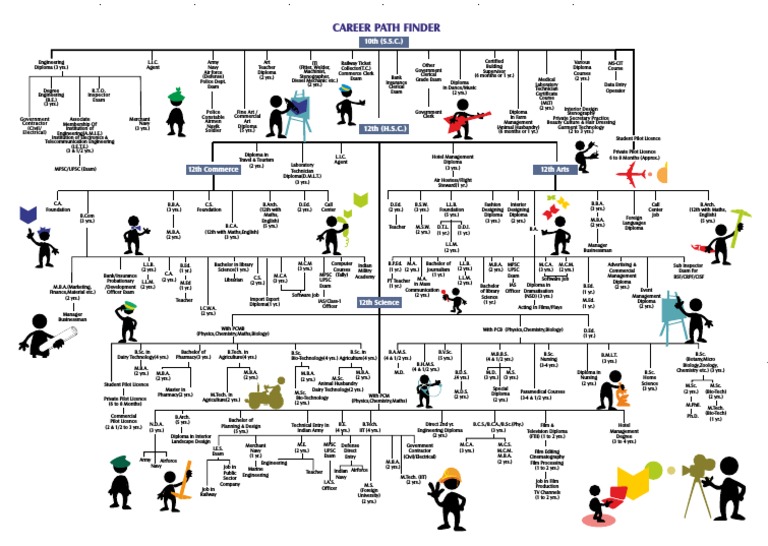 Career Paths You Can Choose | PDF | Diploma | Vocational Education