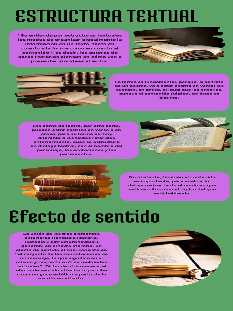 Estructura Textual | PDF