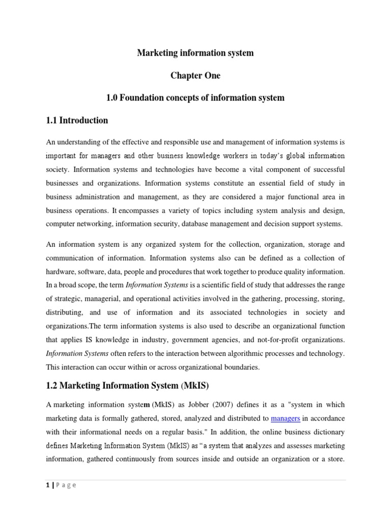 Marketing Information Systems Explained | PDF | Information System | System