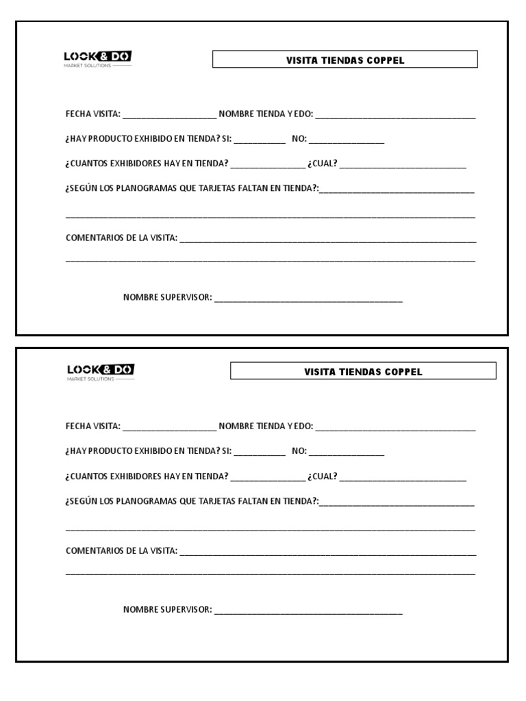 Formato L&D Coppel | PDF