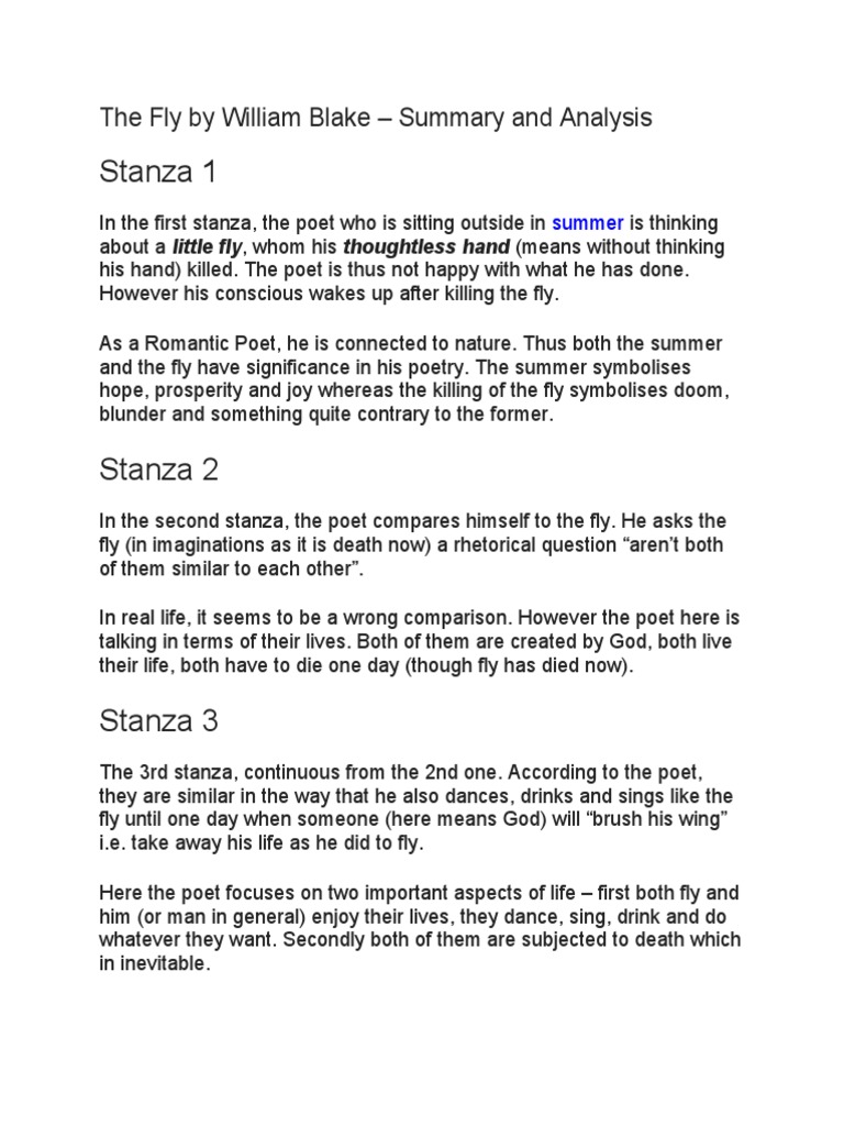 Analysis of Blake's "The Fly" Poem | PDF | Thought