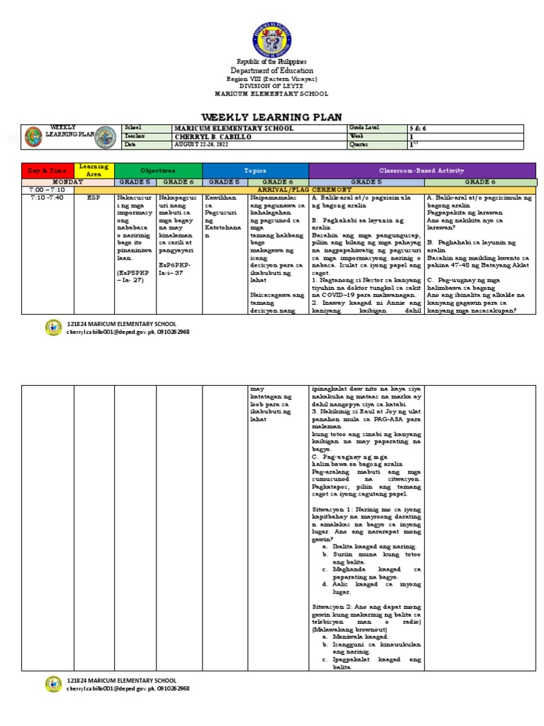 Weekly Learning Plan: Department of Education | PDF