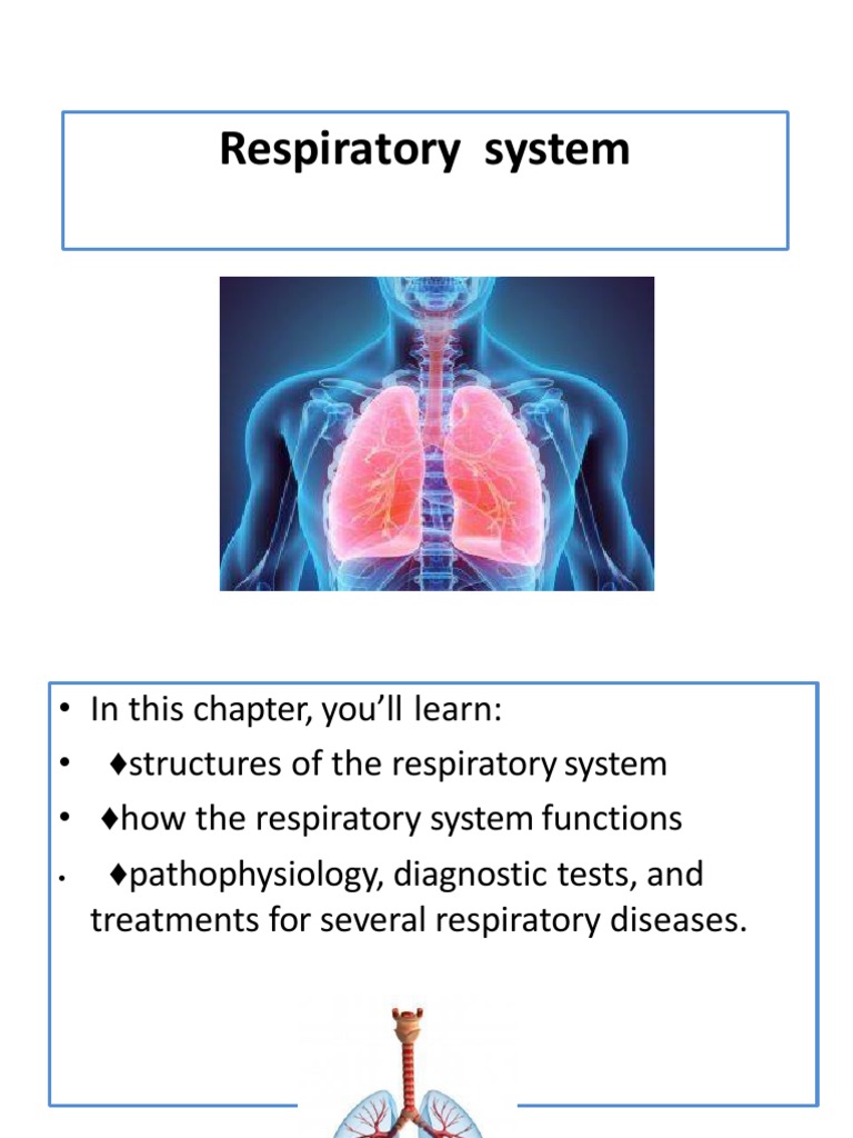 Respiratory Pathophysiology 1 | PDF