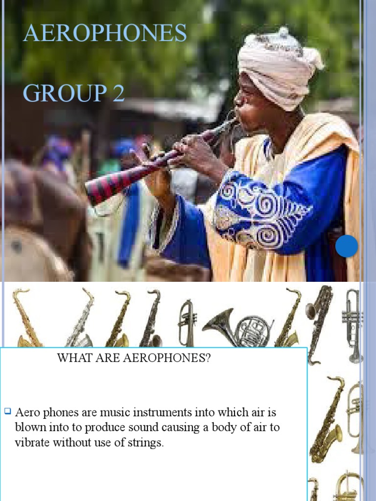 AEROPHONES | PDF | Woodwind Instruments | Music Production