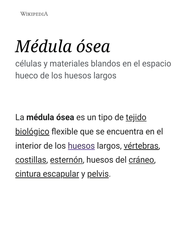 Funciones y tipos de médula ósea | PDF | Médula ósea | Fisiología