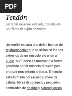 Tendón Normal y Patológico | PDF | Tendón | Anatomía