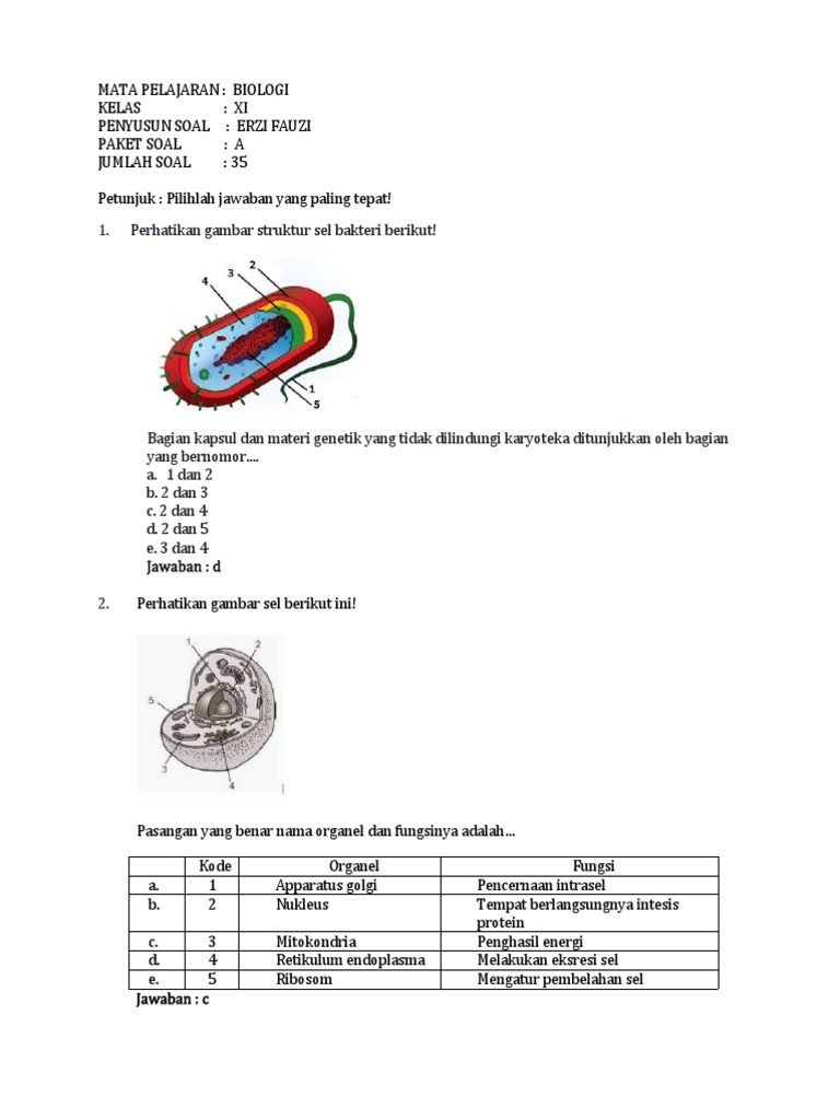 1 Soal Tipe A Biologi XI Ganjil 2022-2023 | PDF | Kesehatan Holistik | Sains & Matematika