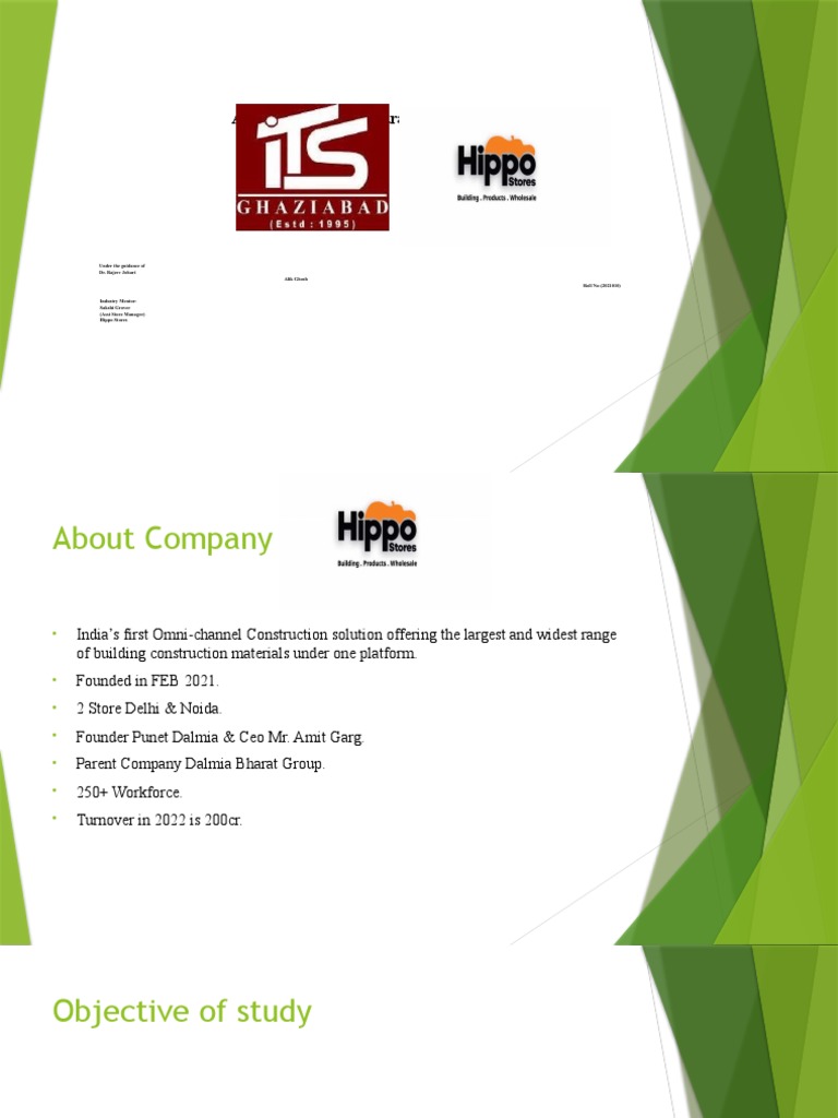 Hippo Stores Marketing Strategy Analysis | PDF | Marketing | Retail