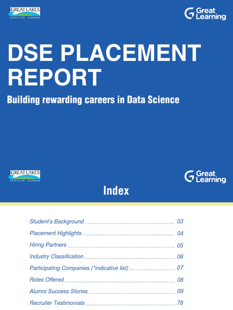 Dse Placement Report | PDF