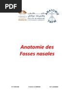 Anat Physio ORL | PDF | Oreille | Système vestibulaire