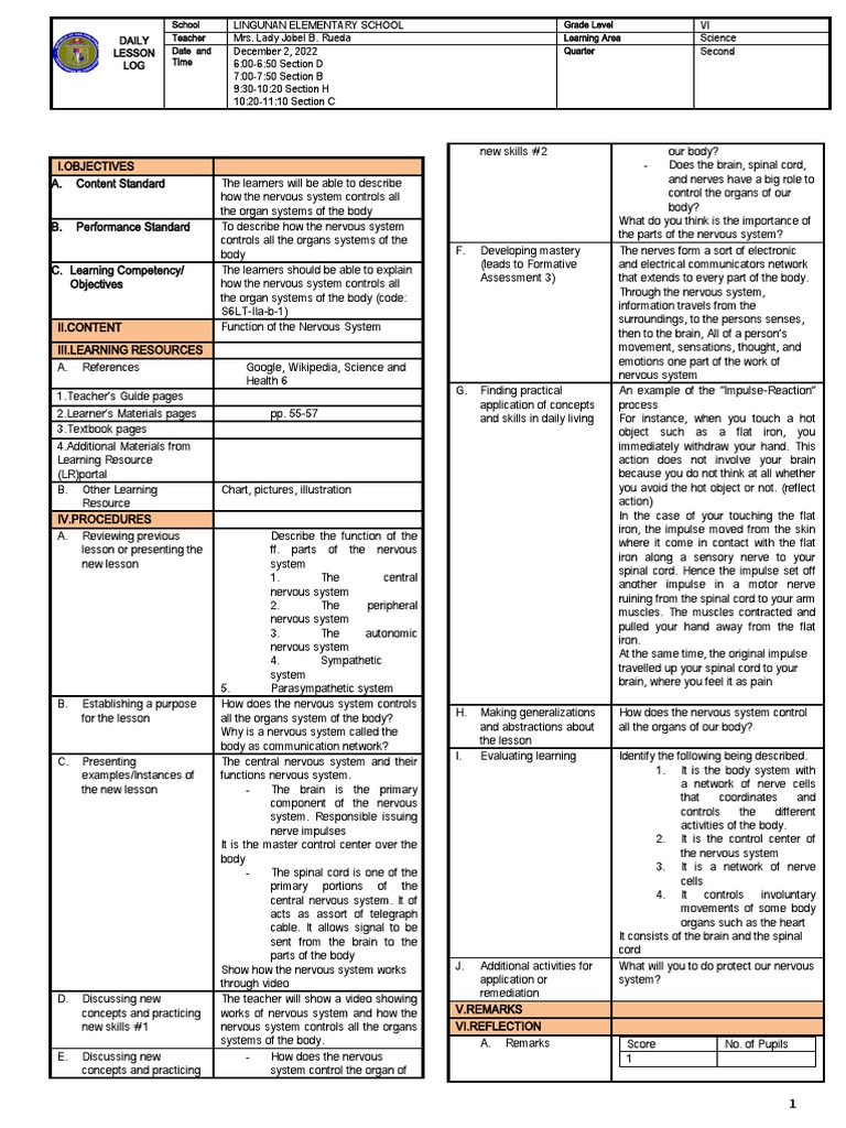 DLL Science Grade 6 | PDF | Nervous System | Nerve