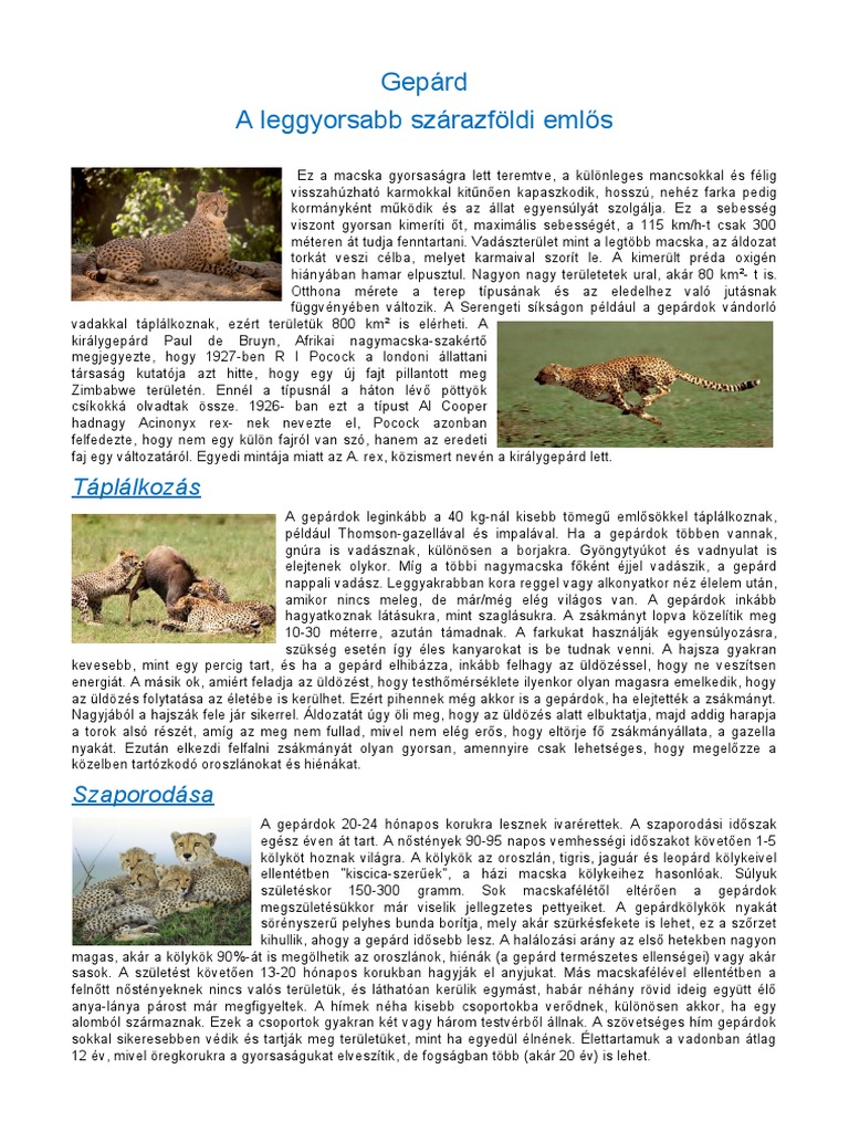 Gepárd | PDF