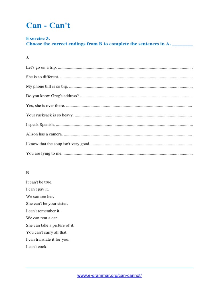Can Cannot Exercise 3 | PDF