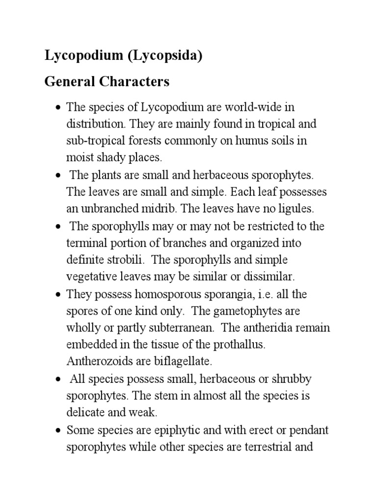 Characteristics and Classification of Lycopodium | PDF | General Fiction