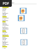 Year 7 Science Workbook - Collins | PDF