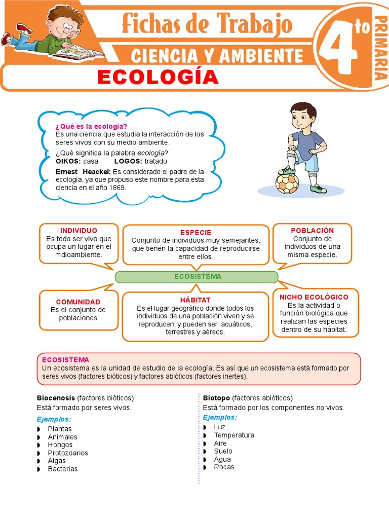 Ecología para Cuarto Grado de Primaria | PDF | Ecología | Ecosistema