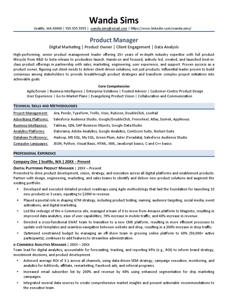 A Data-Driven Product Leader: Wanda Sims' Career Journey in Digital ...