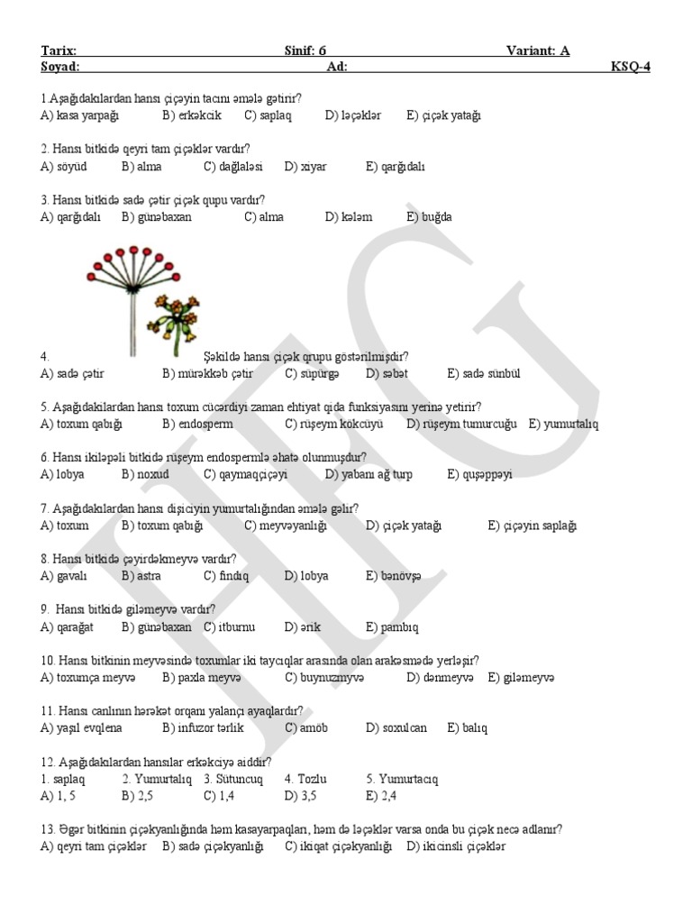 KSQ-4 Sinif 6 Variant-A | PDF