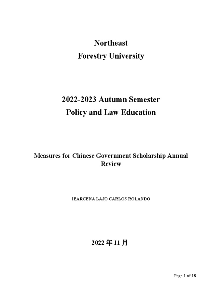 China Policy Report PDF Racism Discrimination Race Relations