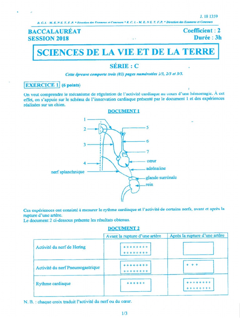 Bac C SVT 2018 | PDF