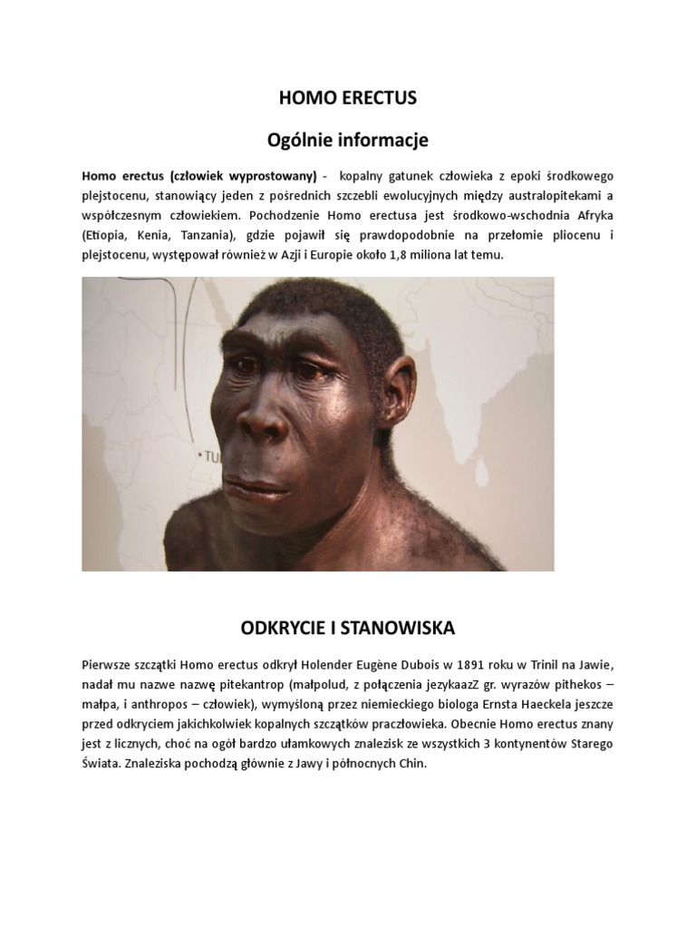 MURZYN | PDF