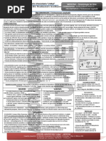 Anatomía de la Cápsula de Glisson | PDF | Tejido adiposo | Riñón