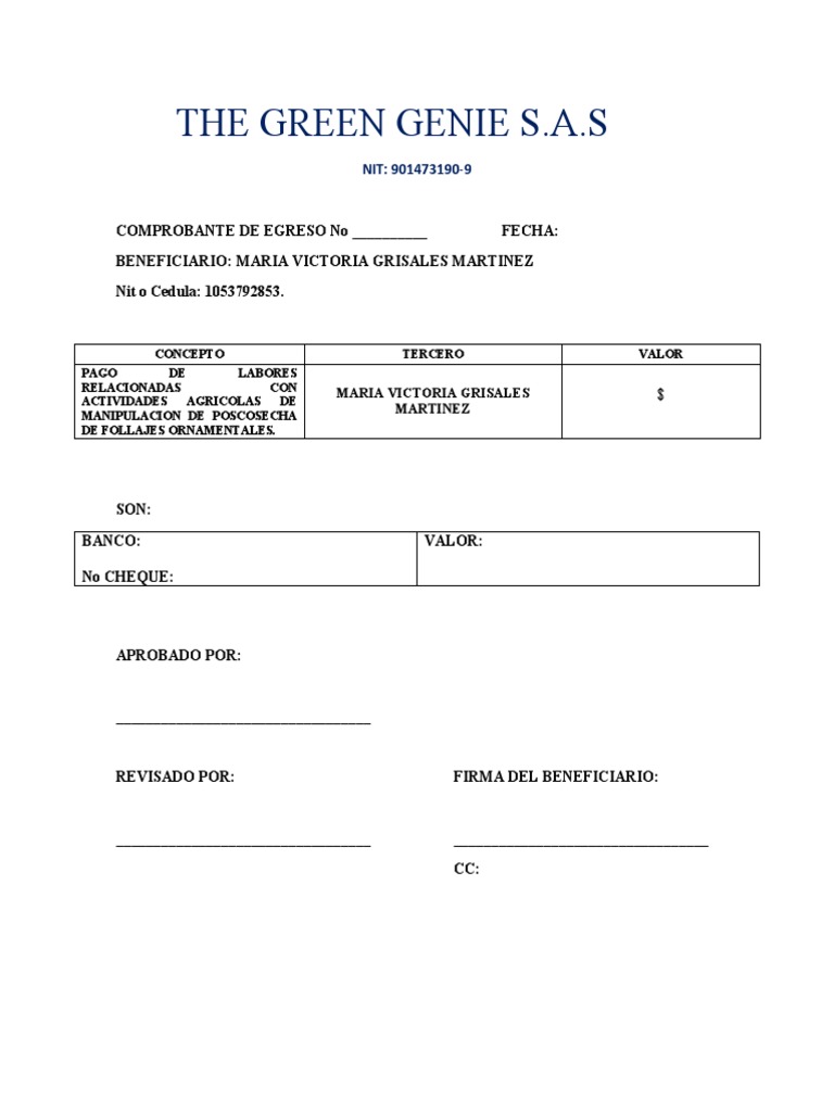 Comprobante de Egreso TGG | PDF