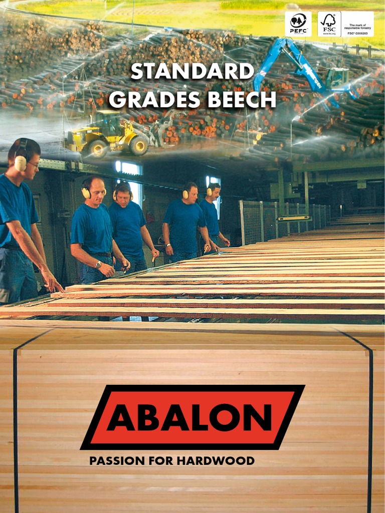 Abalon - Standard Grades Beech | Download Free PDF | Lumber | Wood