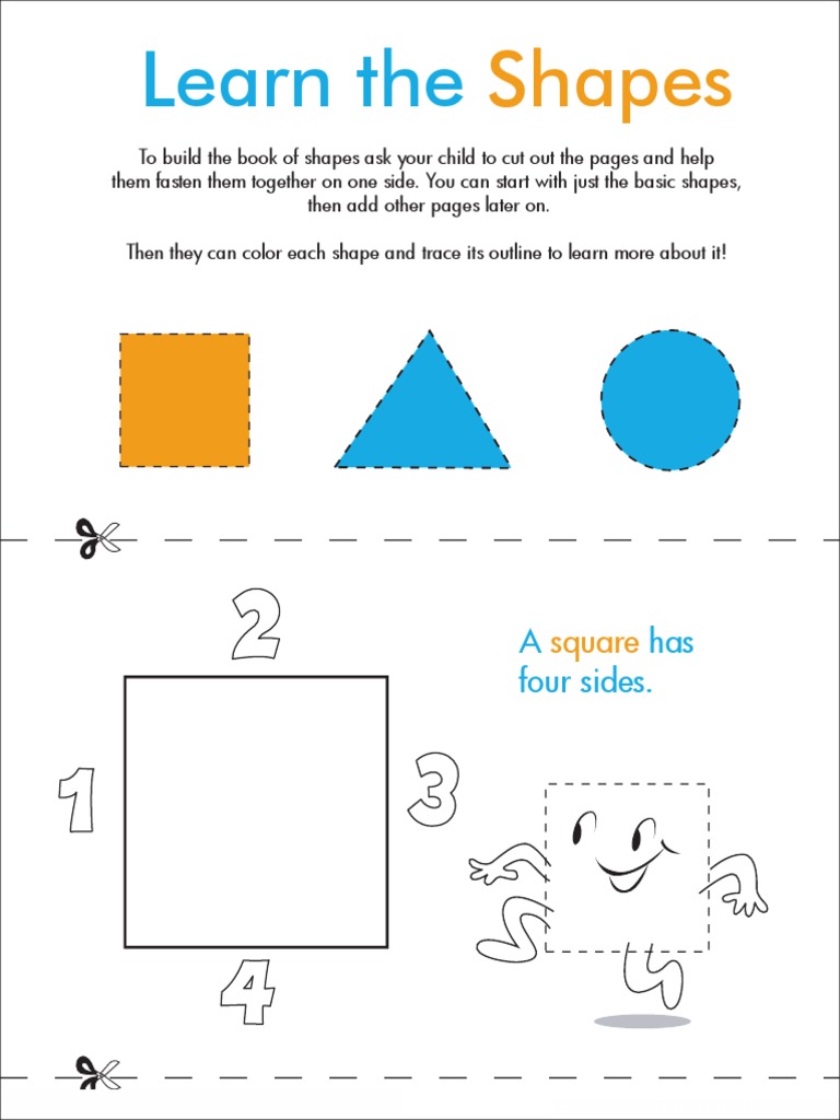 Basic Shapes Workbook | PDF | Euclidean Geometry | Elementary Mathematics