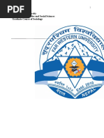 Chapterization | PDF | Methodology | Thesis