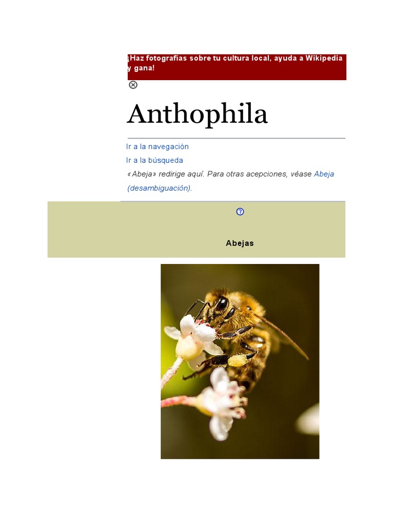 Anthophila | PDF | Abejas | Eusocialidad