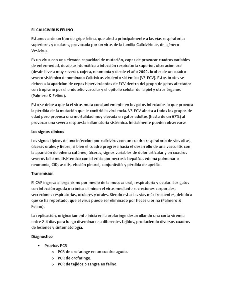 Calicivirus felino: síntomas y tratamiento | PDF | VIH / SIDA | Gatos