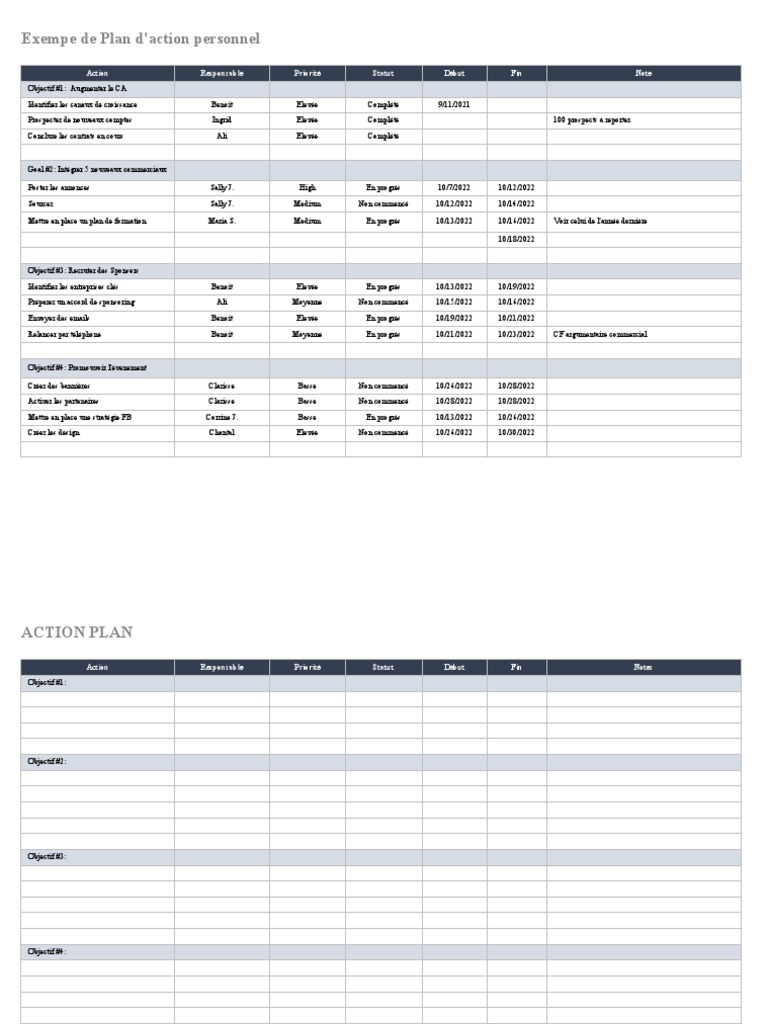 Exemple D Un Plan D Action | PDF | Affaires
