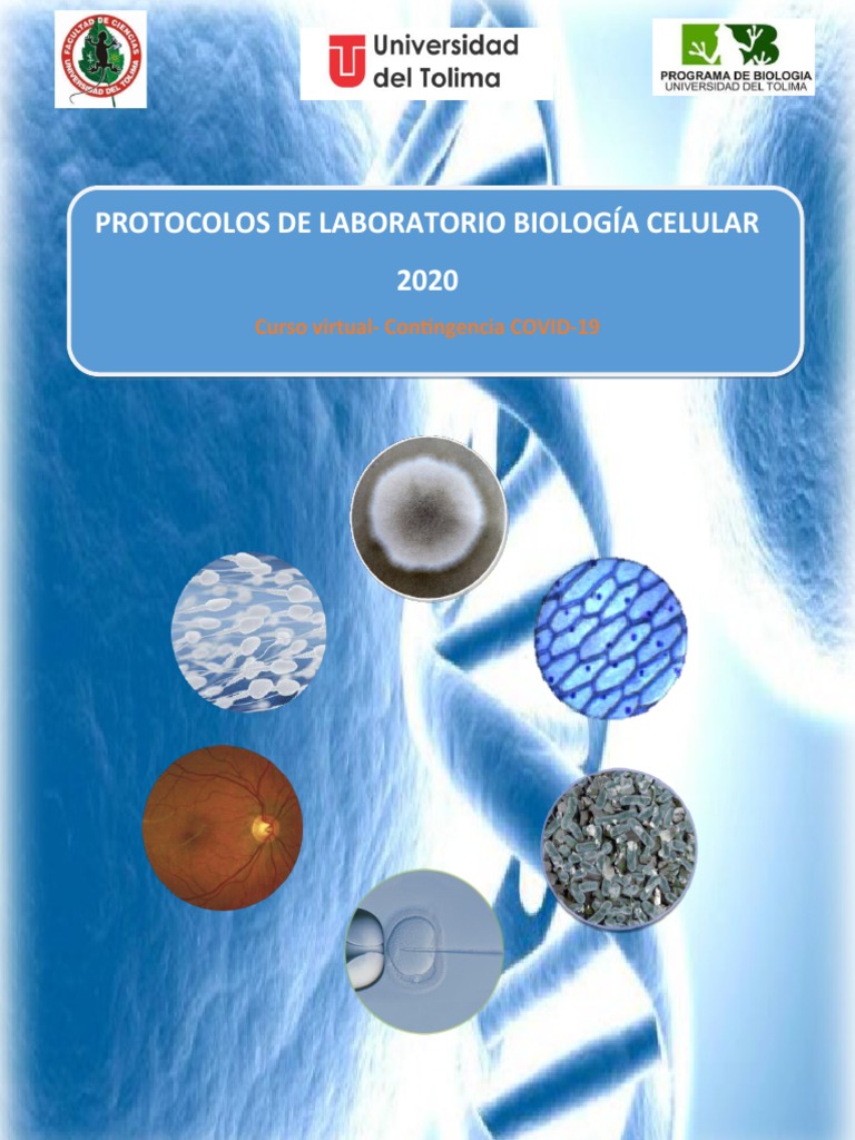 PROTOCOLO 3 Carbohidratos y Lipidos A21 (1473) | PDF | Carbohidratos | Lípido